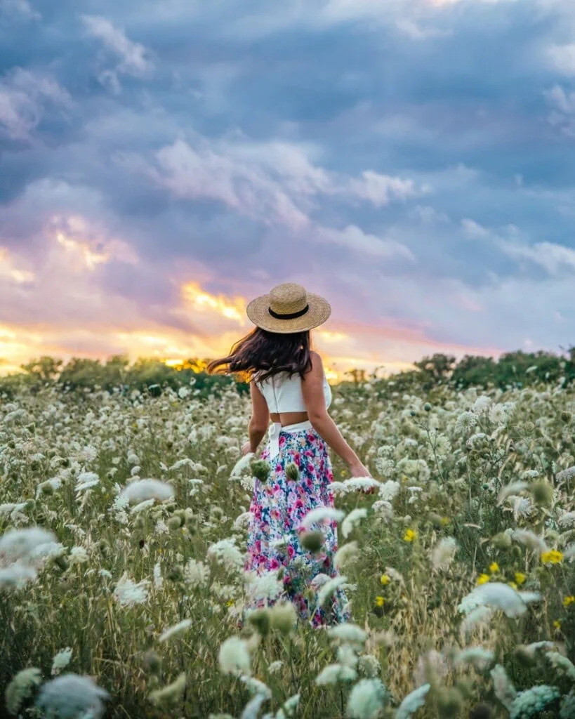 Where to Find Flower Fields In and Around Dallas