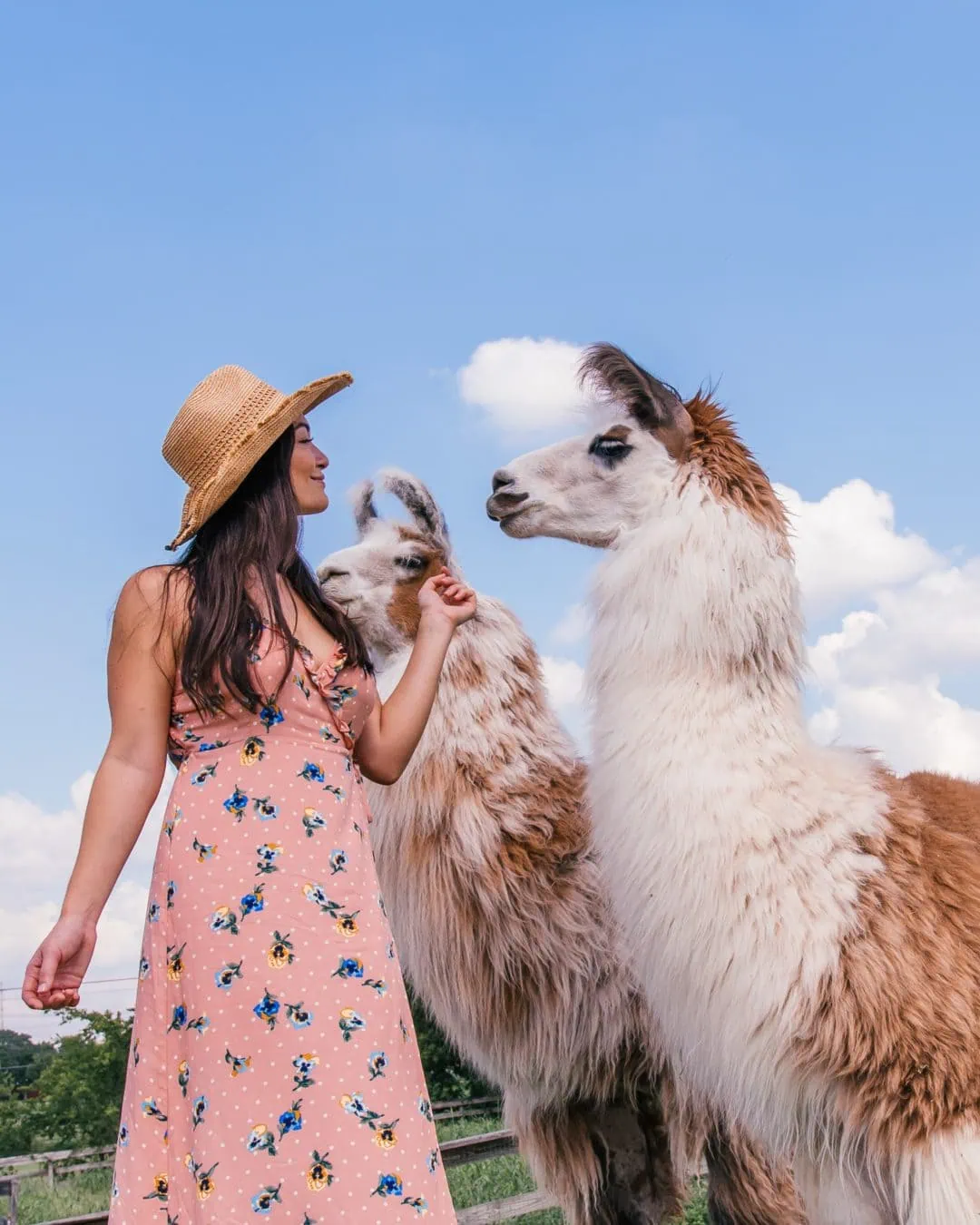 42 Dallas Date Ideas & Romantic Things to Do in Dallas in 2024