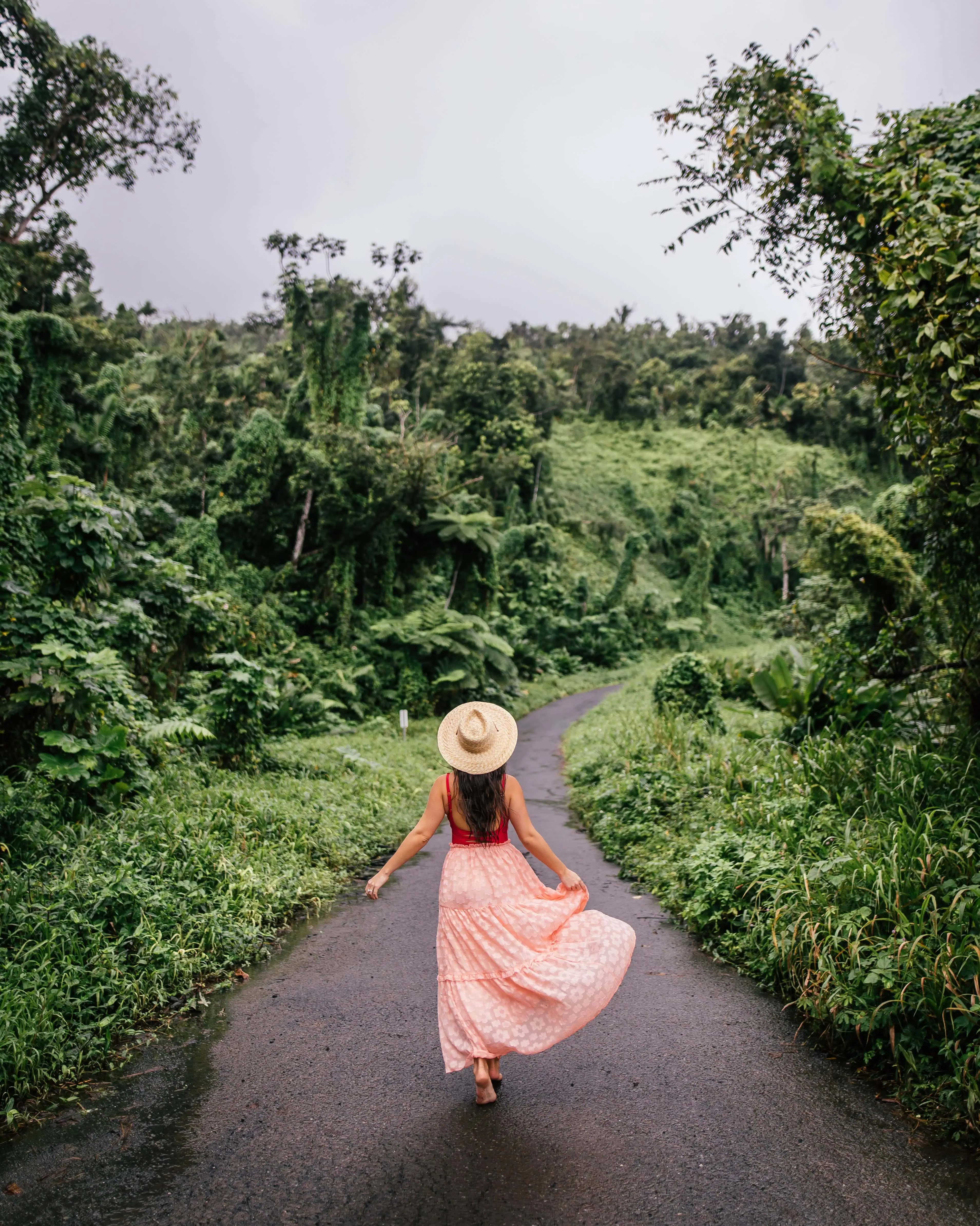 The Ultimate Guide to Visiting El Yunque National Forest in 2024