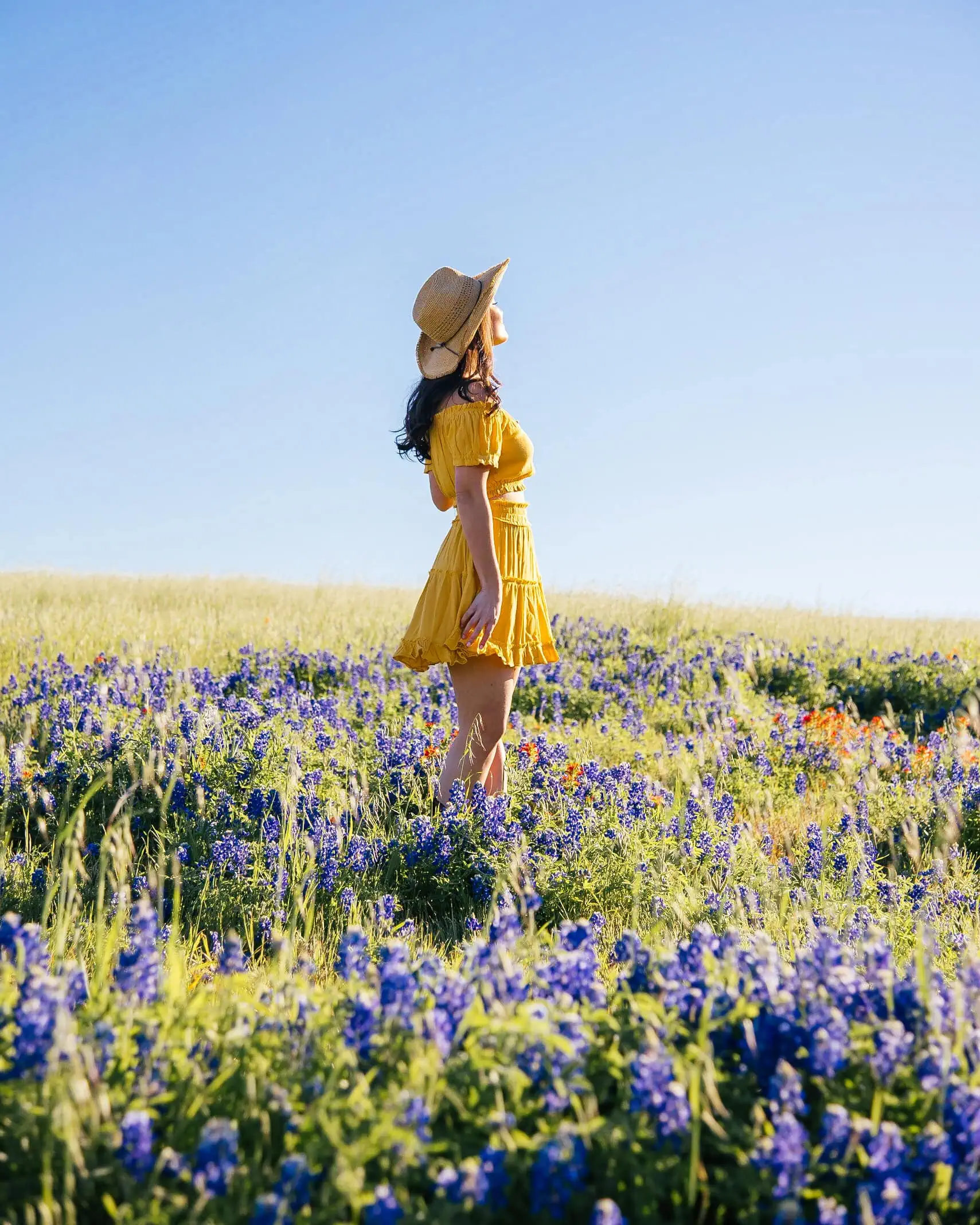Where to Find Flower Fields In and Around Dallas