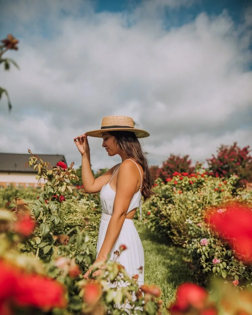 Where to Find Flower Fields In and Around Dallas