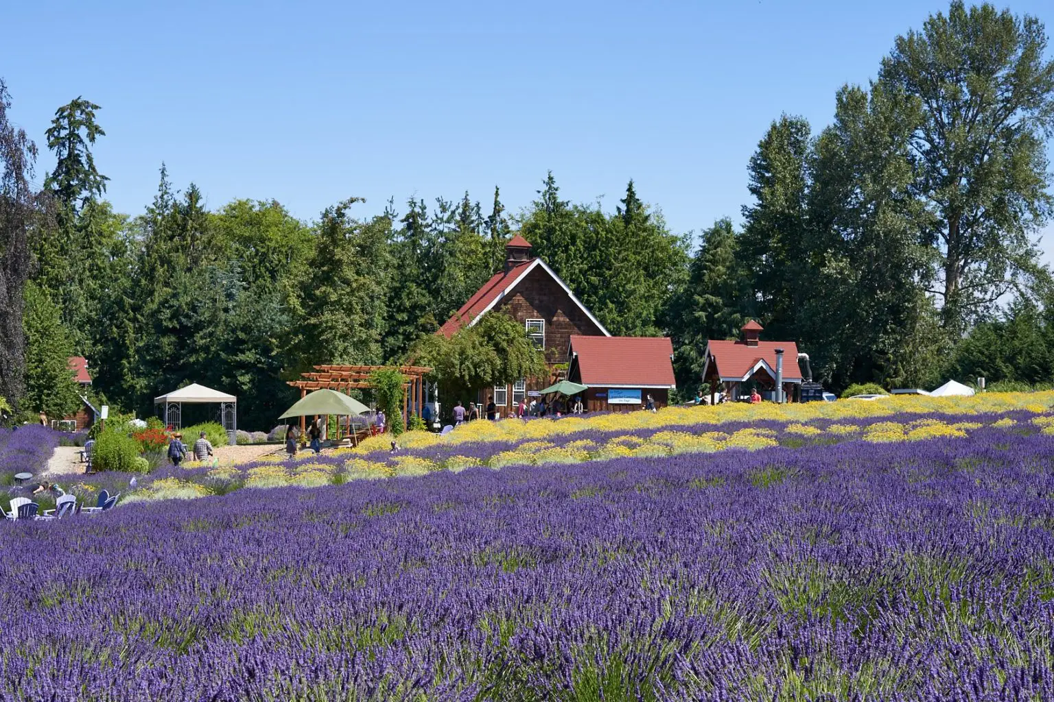 50 Most Beautiful Places in Washington State You Must See to Believe