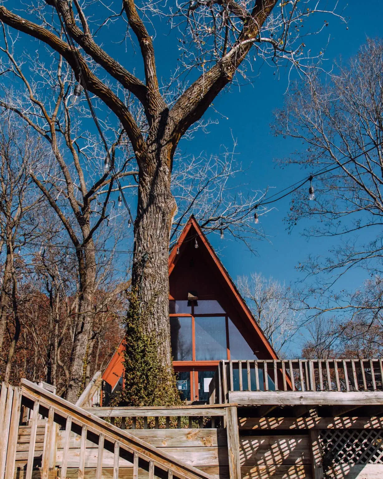 24 Unique Things to Do in Columbia, Missouri