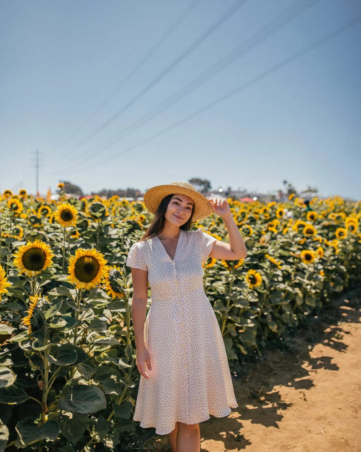 47 Creative Sunflower Photoshoot Ideas