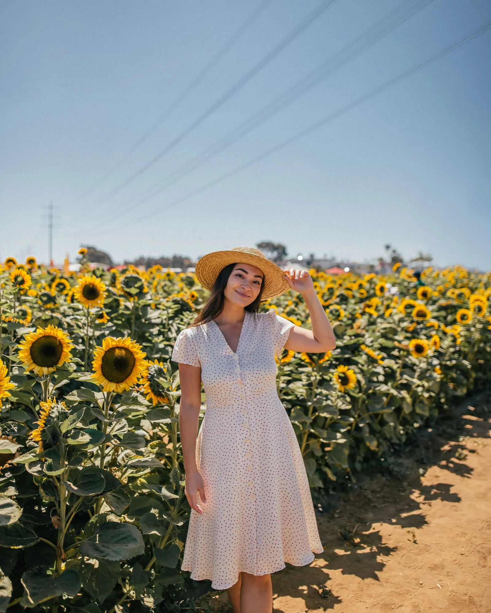 47 Creative Sunflower Photoshoot Ideas