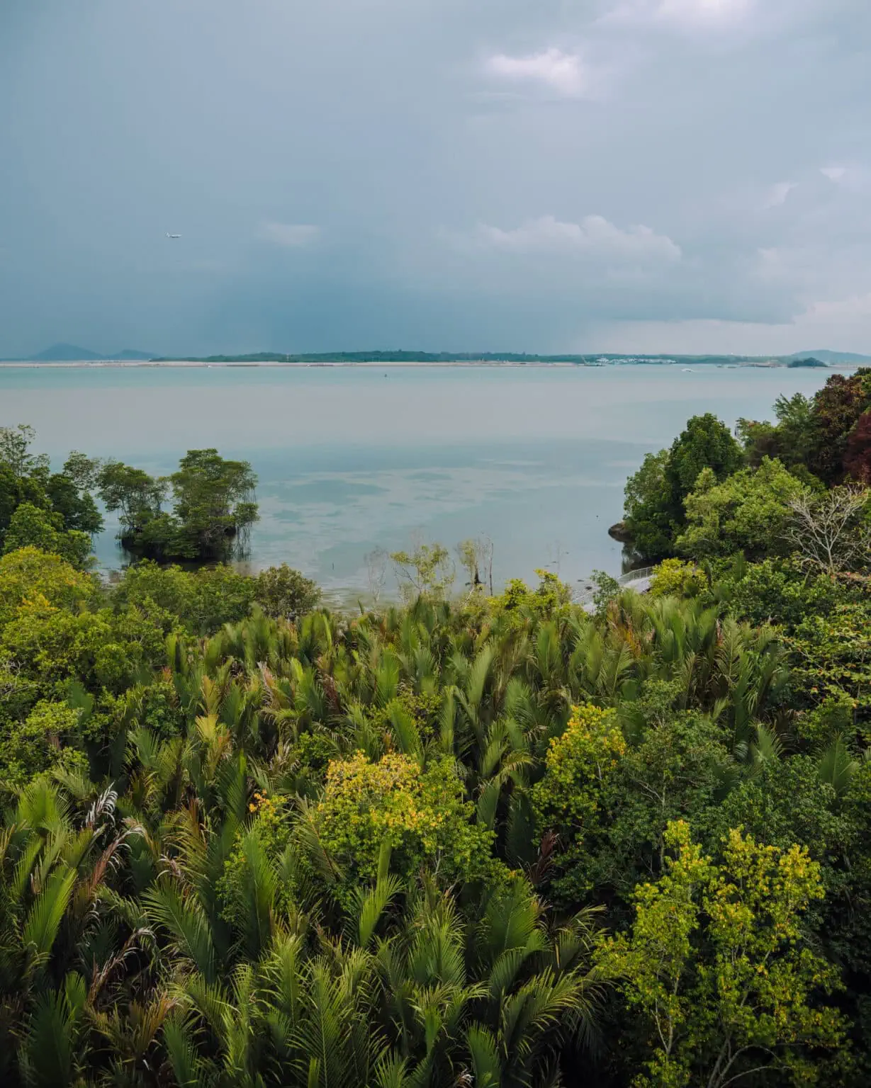 How to Visit Pulau Ubin: Ferry Tips, Itinerary & Things to Do (2026)