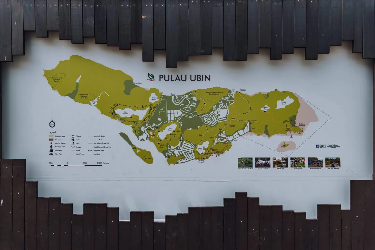 How to Get to Pulau Ubin (and What to Do When You're There!)