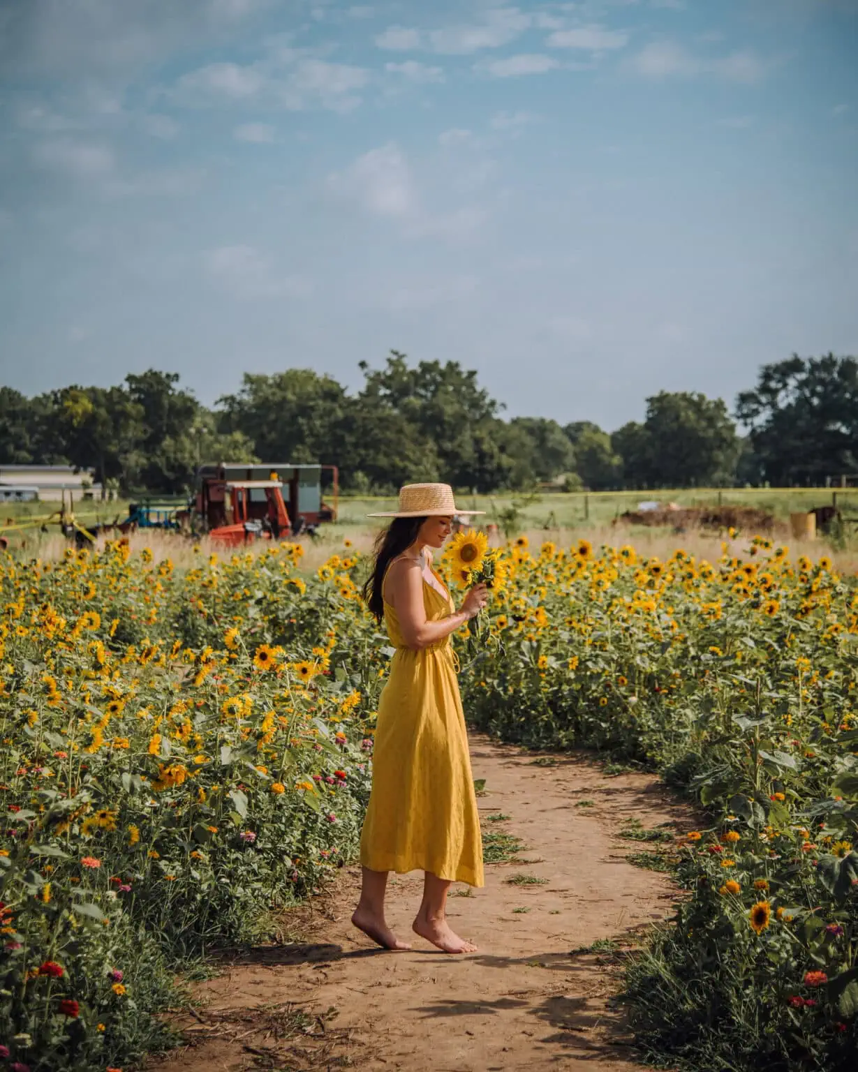 47 Creative Sunflower Photoshoot Ideas