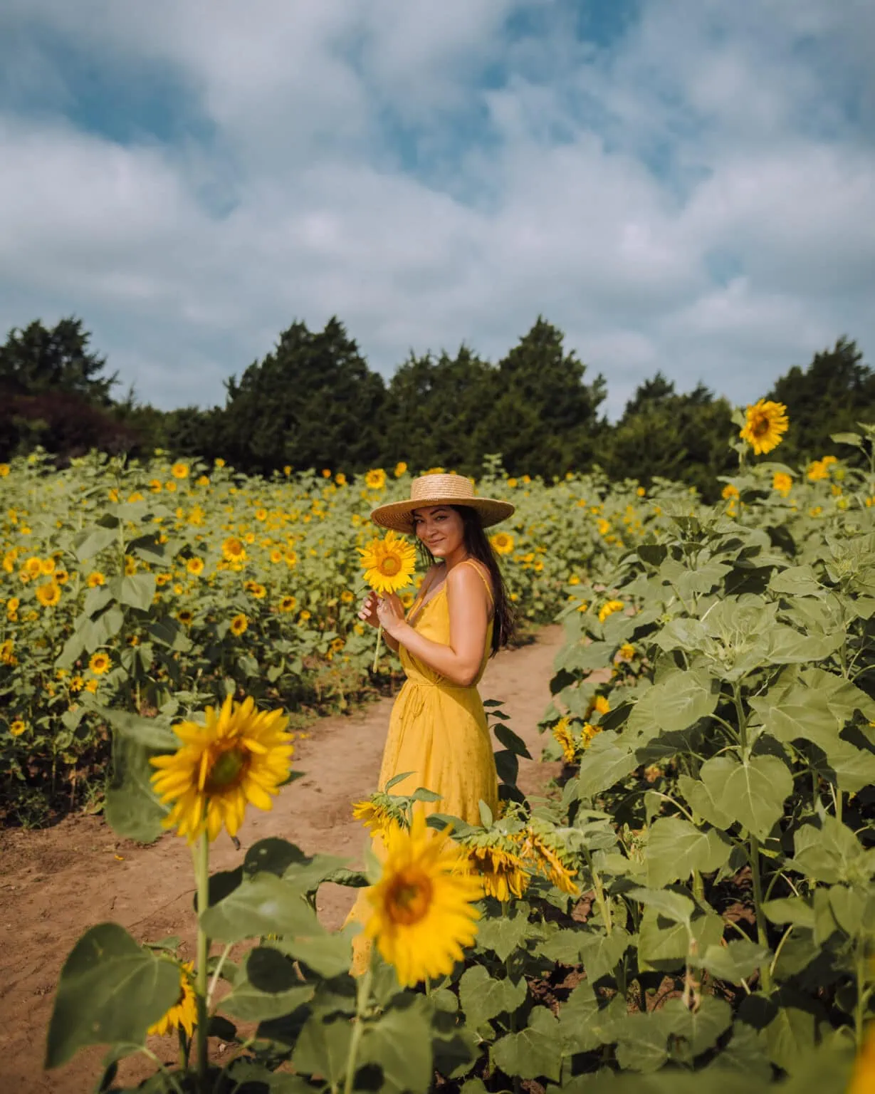 47 Creative Sunflower Photoshoot Ideas