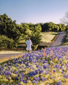 How to See the Best Bluebonnets on the Ennis Bluebonnet Trail